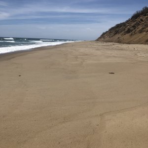 WELLFLEET HOLLOW STATE CAMPGROUND - Updated December 2024 - 180 Old ...