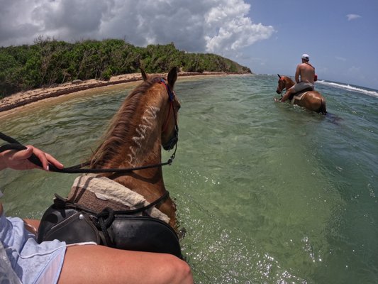 COLON HORSEBACK RIDING - Updated December 2025 - 55 Photos & 19 Reviews ...