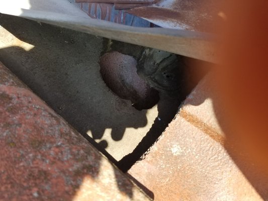 KILTER TERMITE & PEST CONTROL - Updated July 2025 - 23 Photos & 150 ...