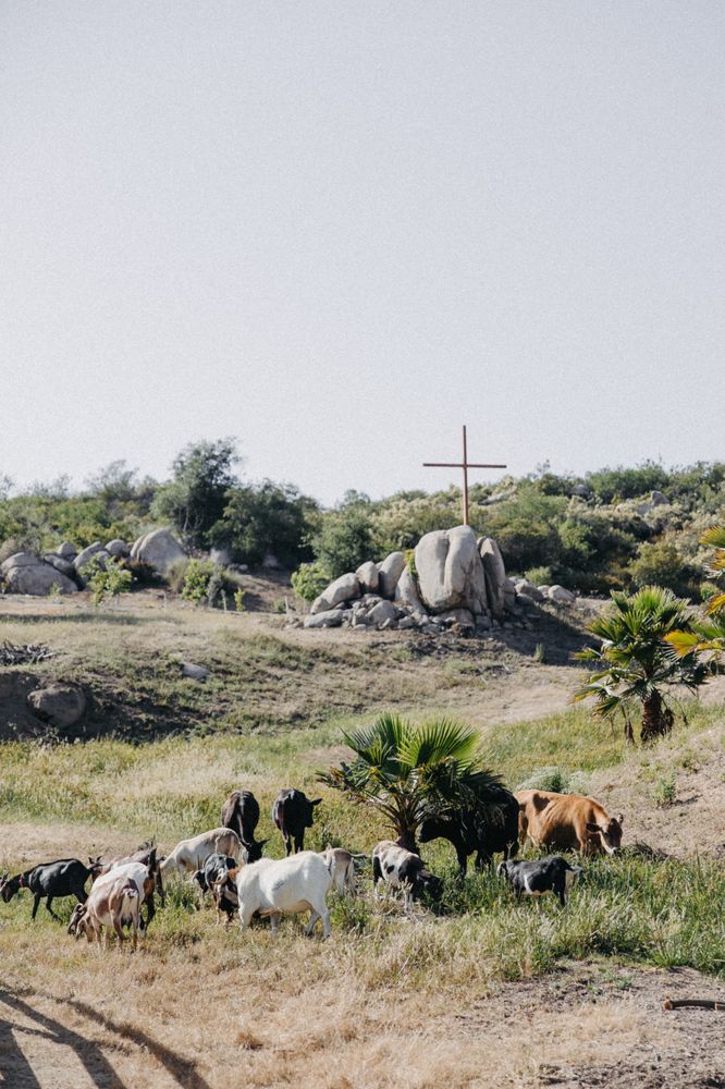 THE TAPIA RANCH - Updated September 2025 - 19 Photos - 45375 Vista Del ...