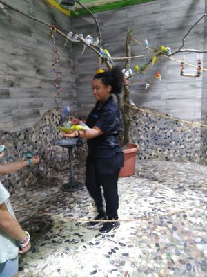 MALL OF LOUISIANA - Updated January 2026 - 113 Photos & 91 Reviews ...