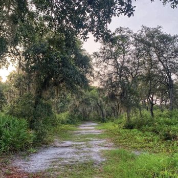 SPLIT OAK FOREST - Updated January 2025 - 71 Photos & 14 Reviews ...