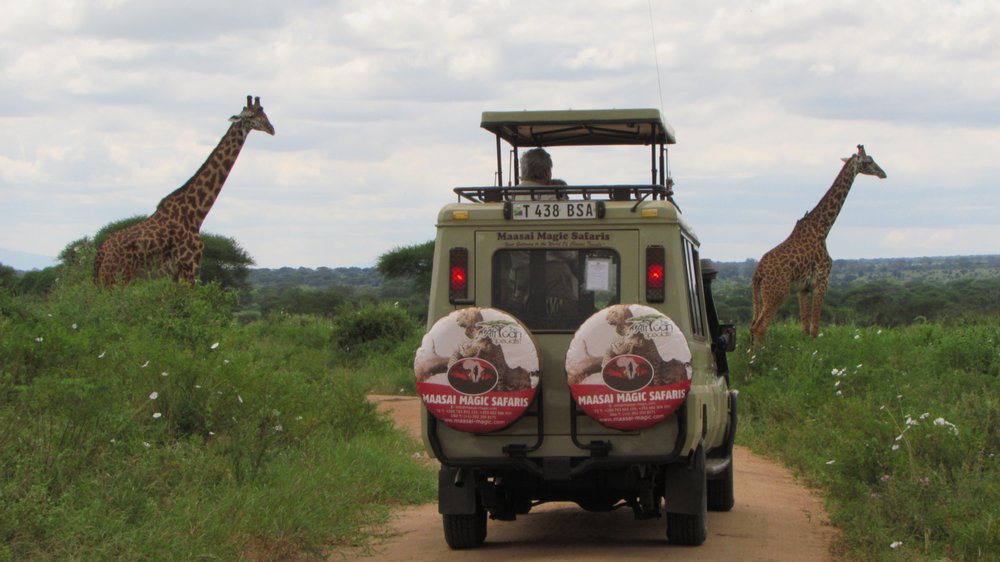 MAASAI MAGIC SAFARIS - Updated July 2025 - 950 S Cimarron Way, Aurora ...