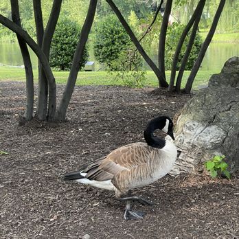 COOPER’S POND PARK - Updated January 2026 - 116 Photos & 21 Reviews ...