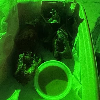 INFINITY LIVE - Updated December 2025 - 28 Photos & 30 Reviews - 7004 ...