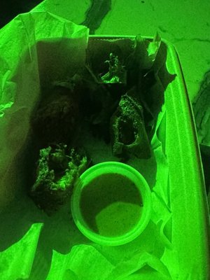 INFINITY LIVE - Updated January 2026 - 28 Photos & 31 Verified Reviews ...