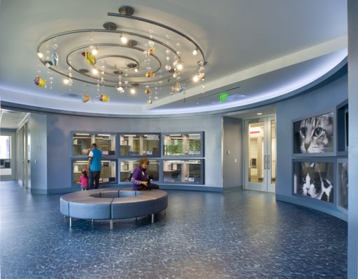 SPCA OF TEXAS - 59 Photos & 79 Reviews - 2400 Lone Star Dr, Dallas ...