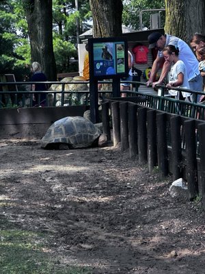 HENRY VILAS PARK ZOO - Updated December 2025 - 502 Photos & 254 Reviews ...