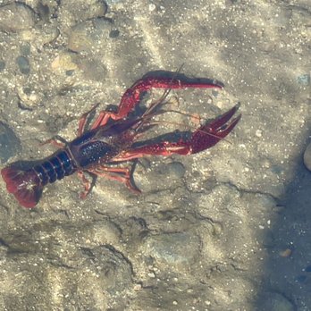 RIVERBOTTOM PARK - Updated October 2025 - 16 Photos - Fresno ...