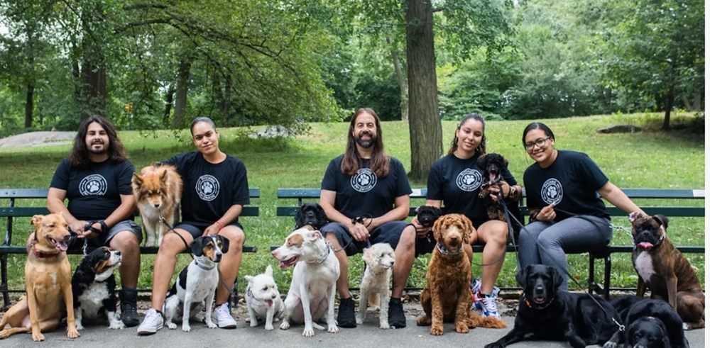 PRICELESS PETS - Updated July 2024 - 15 Cannonball Rd, Pompton Lakes ...