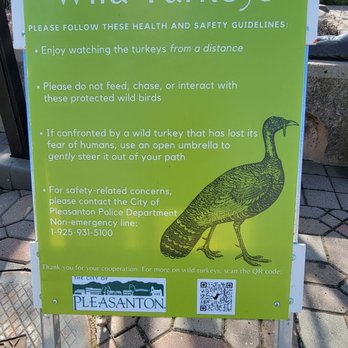 PLEASANTON LIBRARY - Updated October 2025 - 150 Photos & 105 Reviews ...