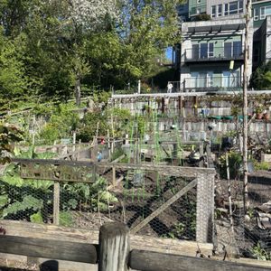 LYNN STREET MINI PARK - Updated June 2025 - 12 Photos - 2291 Fairview ...