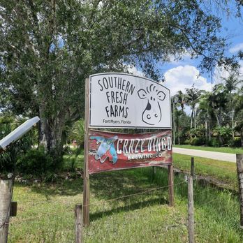 CRAZY DINGO BREWING - Updated September 2024 - 112 Photos & 52 Reviews ...