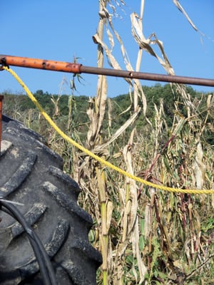 CALLAHAN STATE PARK - Updated May 2024 - 54 Photos & 44 Reviews ...