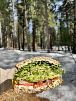 PICKLED PORCH CAFE - Updated October 2025 - 119 Photos & 146 Reviews ...