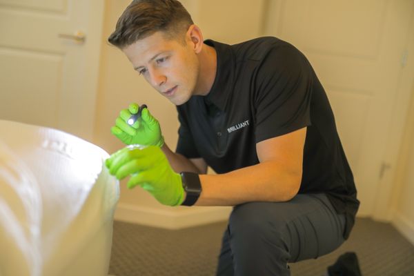 BRILLIANT PEST SOLUTIONS - Updated December 2025 - 59 Photos & 125 ...