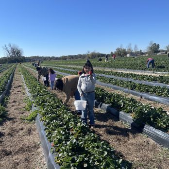 BRANFORD FARM STAND - Updated August 2024 - 164 Photos & 44 Reviews ...