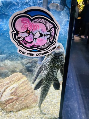 THE FISH CONNECTION - Updated January 2026 - 810 E College Dr, Durango ...