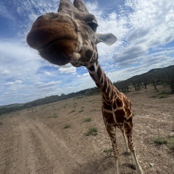 OX RANCH - Updated October 2025 - 109 Photos & 36 Reviews - 1946 ...