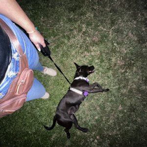 INGRAHAM PARK - 41 Photos - 4751 Ingraham Ter, Coral Gables, Florida ...