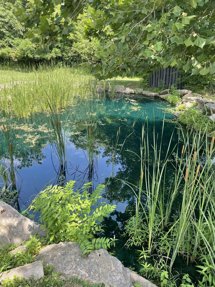 Aloha Mini Golf & Shave Ice, St. Louis | Roadtrippers