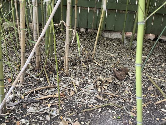 ABC HOME & COMMERCIAL SERVICES - Updated August 2025 - 134 Photos & 555 ...