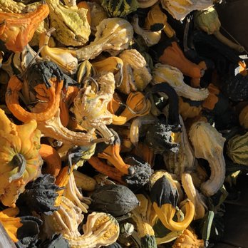 MARINI FARM - Updated December 2025 - 70 Photos & 50 Reviews - 259 ...