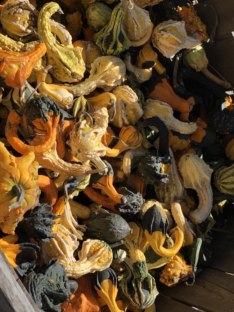 MARINI FARM - Updated October 2024 - 66 Photos & 40 Reviews - 259 ...