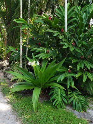 JESSE DURKO’S NURSERY - Updated December 2025 - 114 Photos & 46 Reviews ...