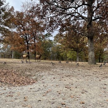 GRANT’S FARM - 748 Photos & 365 Reviews - 10501 Gravois Rd, St. Louis ...