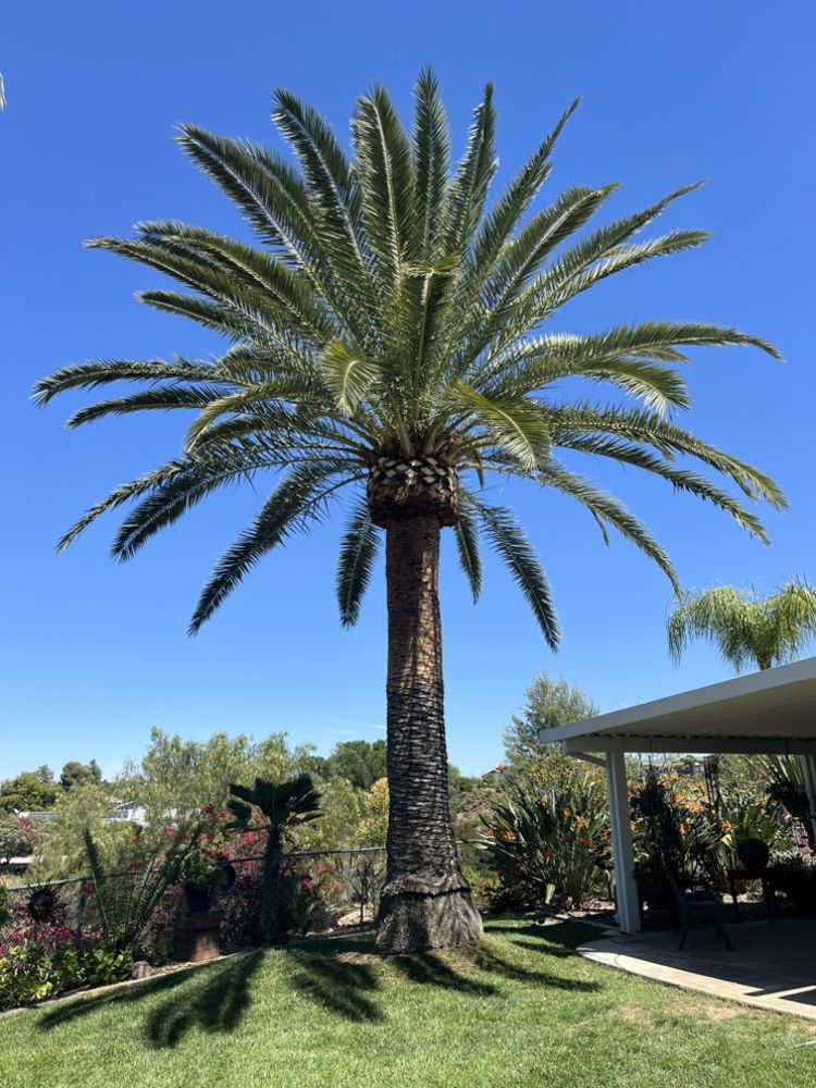 ONE WAY TREE CARE - Updated October 2025 - 21 Photos & 14 Reviews ...