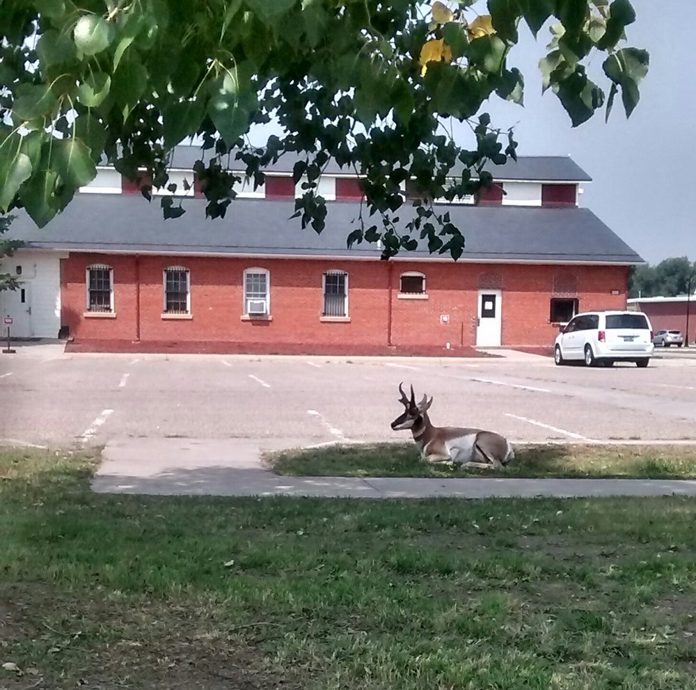 FRANCIS E WARREN AIR FORCE BASE - Updated March 2025 - 65 Warren Afb ...