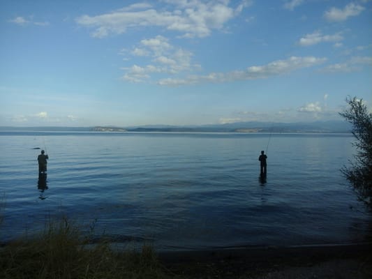 OMORI SCENIC RESERVE - 3 Rangiwhero St, Omori, Waikato, New Zealand ...