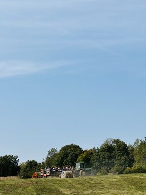 FOWLER PUMPKIN PATCH - Updated December 2025 - 32 Photos - 5060 N Greene County Line Rd ...