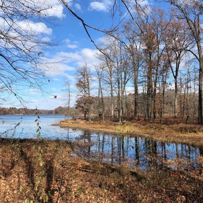 SHAKAMAK STATE PARK - Updated November 2024 - 51 Photos & 11 Reviews ...