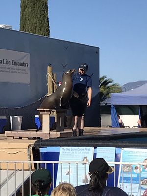 PIMA COUNTY FAIR - 142 Photos & 44 Reviews - 11300 S Houghton Rd ...