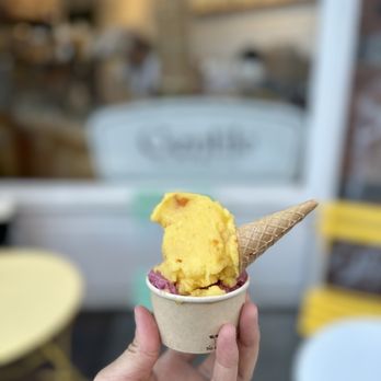 GELATERIA GENTILE - Updated May 2024 - 100 Photos & 81 Reviews - 43 8th ...