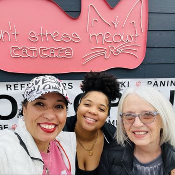 DON’T STRESS MEOWT - CAT CAFE - Updated December 2025 - 311 Photos & 41 ...