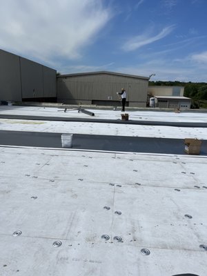 NEXT LEVEL ROOFING AND SIDING - Updated July 2025 - Request a Quote ...