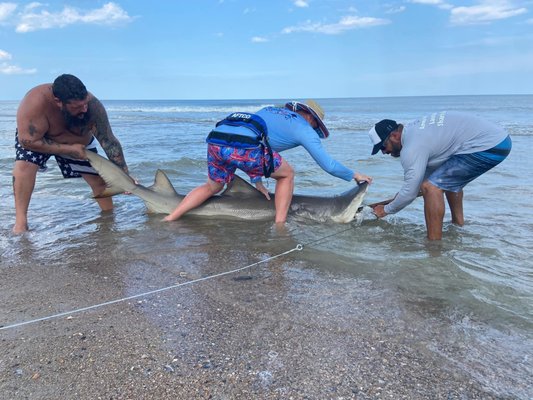 AMELIA ISLAND LAND BASED SHARK CHARTER - Updated December 2025 - Yulee ...