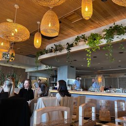 MACANDA - Updated October 2024 - 442 Photos & 175 Reviews - 294 Grove ...