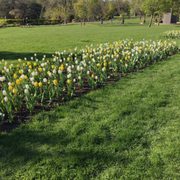 LYNDALE PARK ROSE GARDEN - 143 Photos & 20 Reviews - 4124 Roseway Rd ...