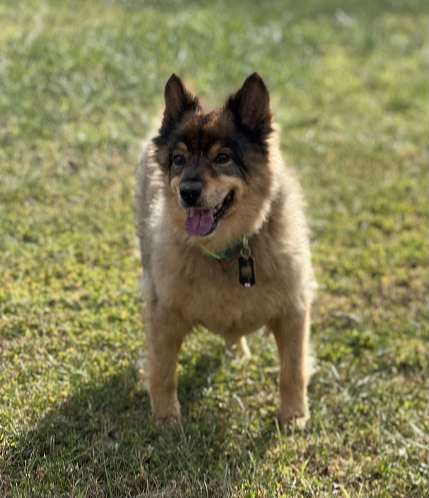 CANDACE WALKER - Updated April 2025 - Request Information - 14 Photos ...