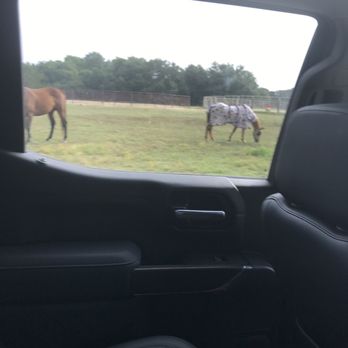 BLORA RANCH - Updated September 2025 - 45 Photos & 10 Reviews - North ...