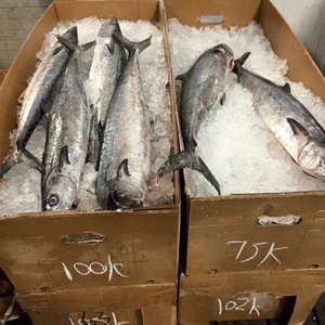 THE NEW FULTON FISH MARKET - Updated May 2025 - 112 Photos & 46 Reviews ...