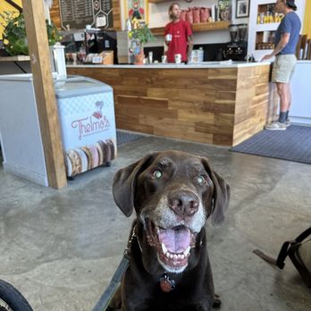 DAISY CHAIN COFFEE - Updated January 2025 - 21 Photos & 34 Reviews ...