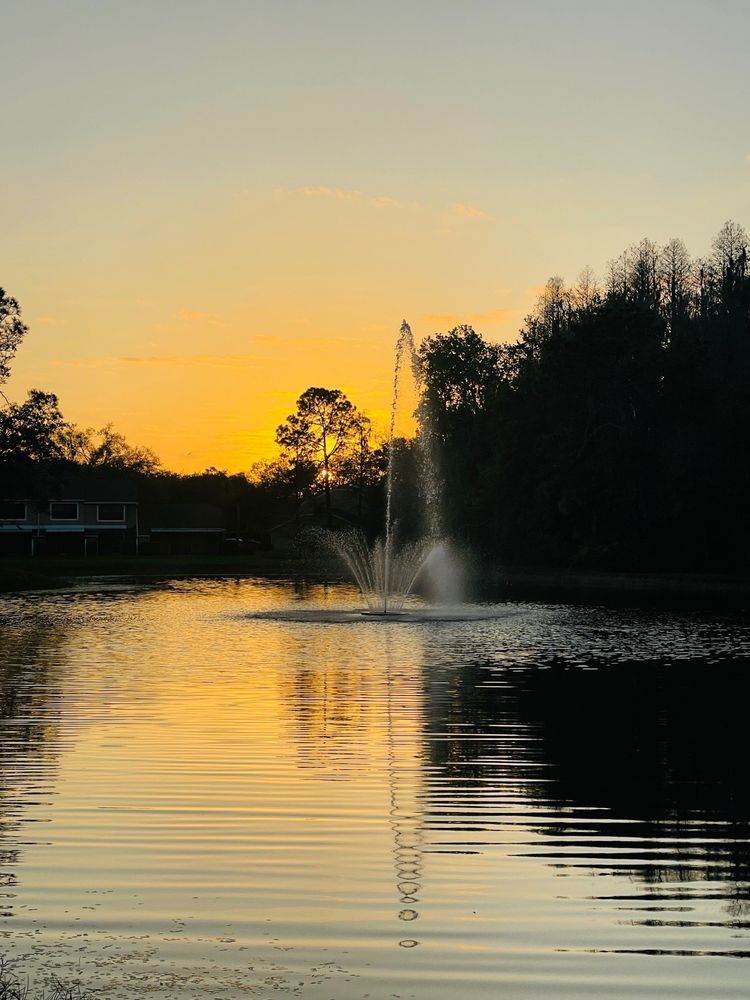 AMBERLY PARK - Updated December 2025 - 15702 Amberly Dr, Tampa, Florida ...