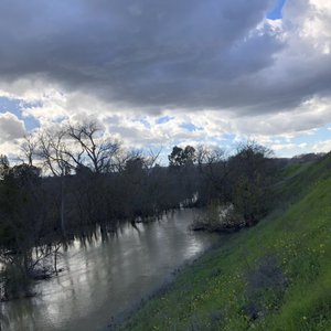 SHADOW CLIFFS REGIONAL RECREATION AREA - 195 Photos & 135 Reviews ...