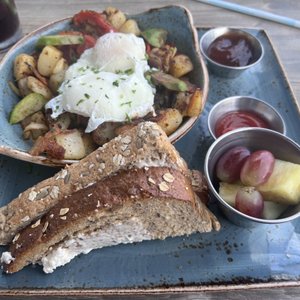 FIRST WATCH - 324 Photos & 207 Reviews - 3017 Daniels Rd, Winter Garden ...