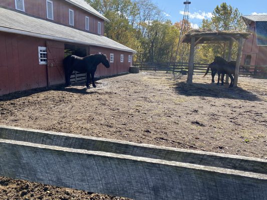SLATE RUN LIVING HISTORICAL FARM - Updated January 2026 - 64 Photos ...
